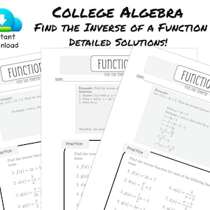 College Algebra Mixture Problems Worksheets With Detailed Solutions ...