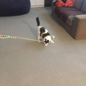 Long Interactive Cat Rope - Exercise Cat Toy - Gifts for Cats - Cat ...