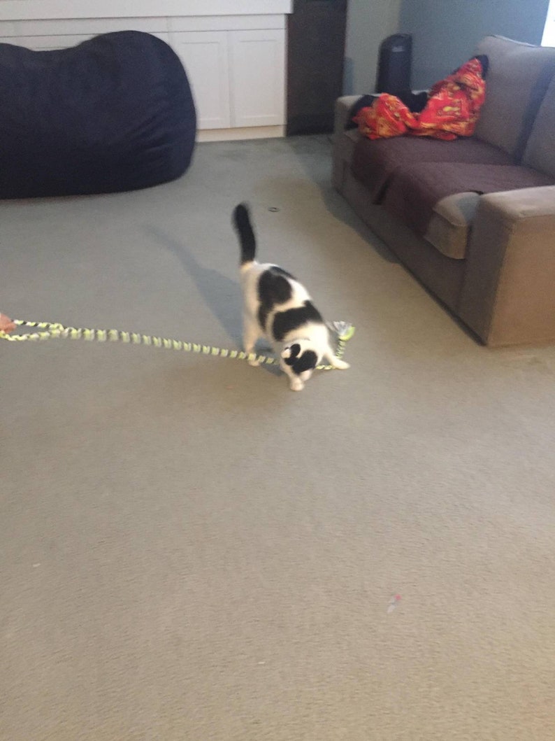 Long Interactive Cat Rope Exercise Cat Toy Gifts for Cats | Etsy