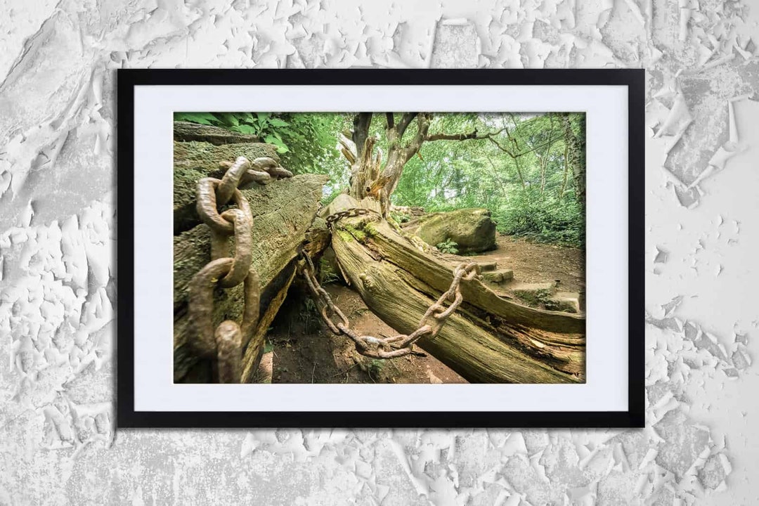 Spooky Chained Oak Tree Halloween Vibes Framed/unframed Fine Art Print ...