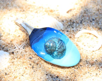 Blue sea shells | Etsy