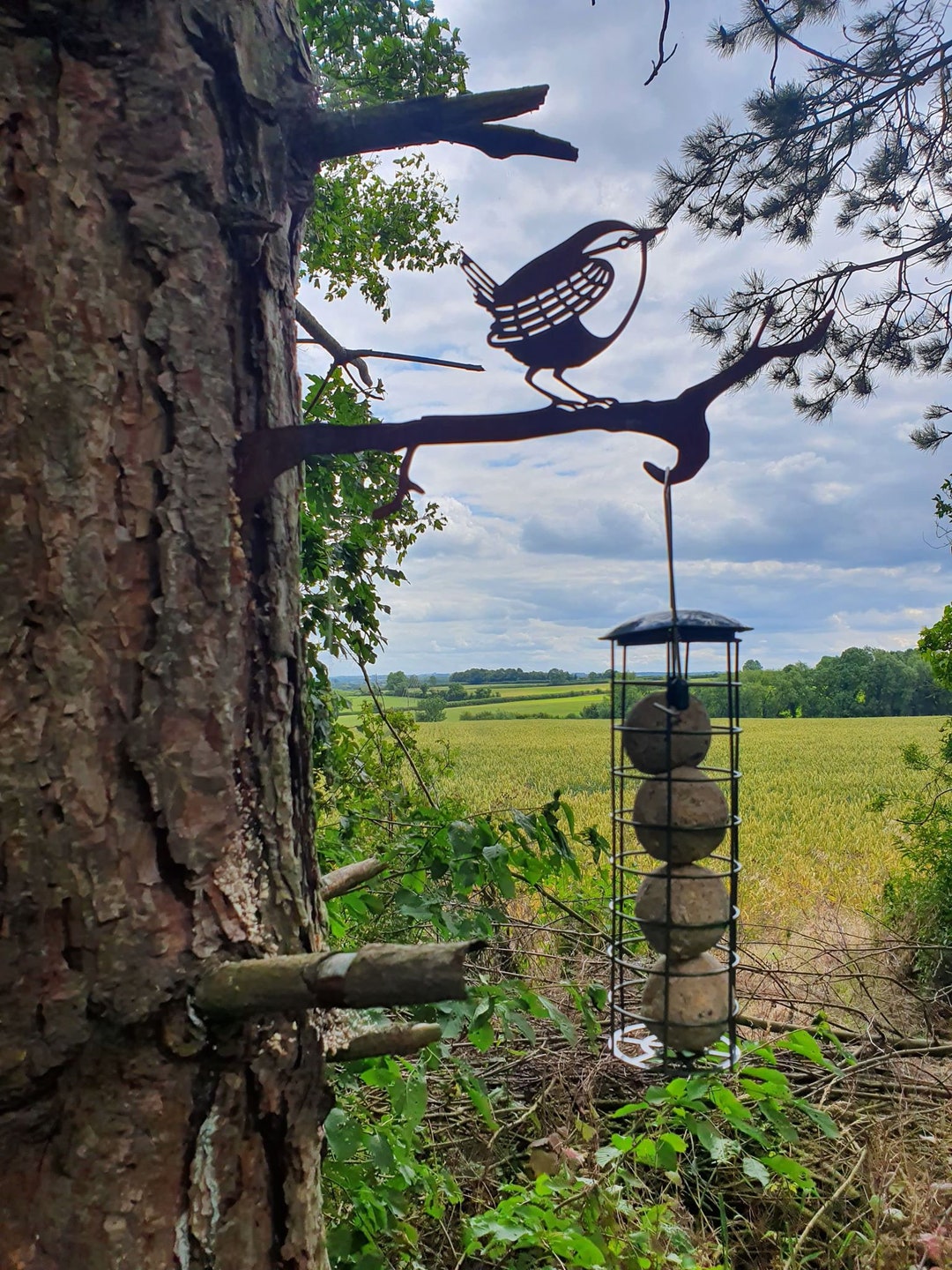 Wren Bird Feeder. Rusty Rustic Steel. Made in the UK - Etsy