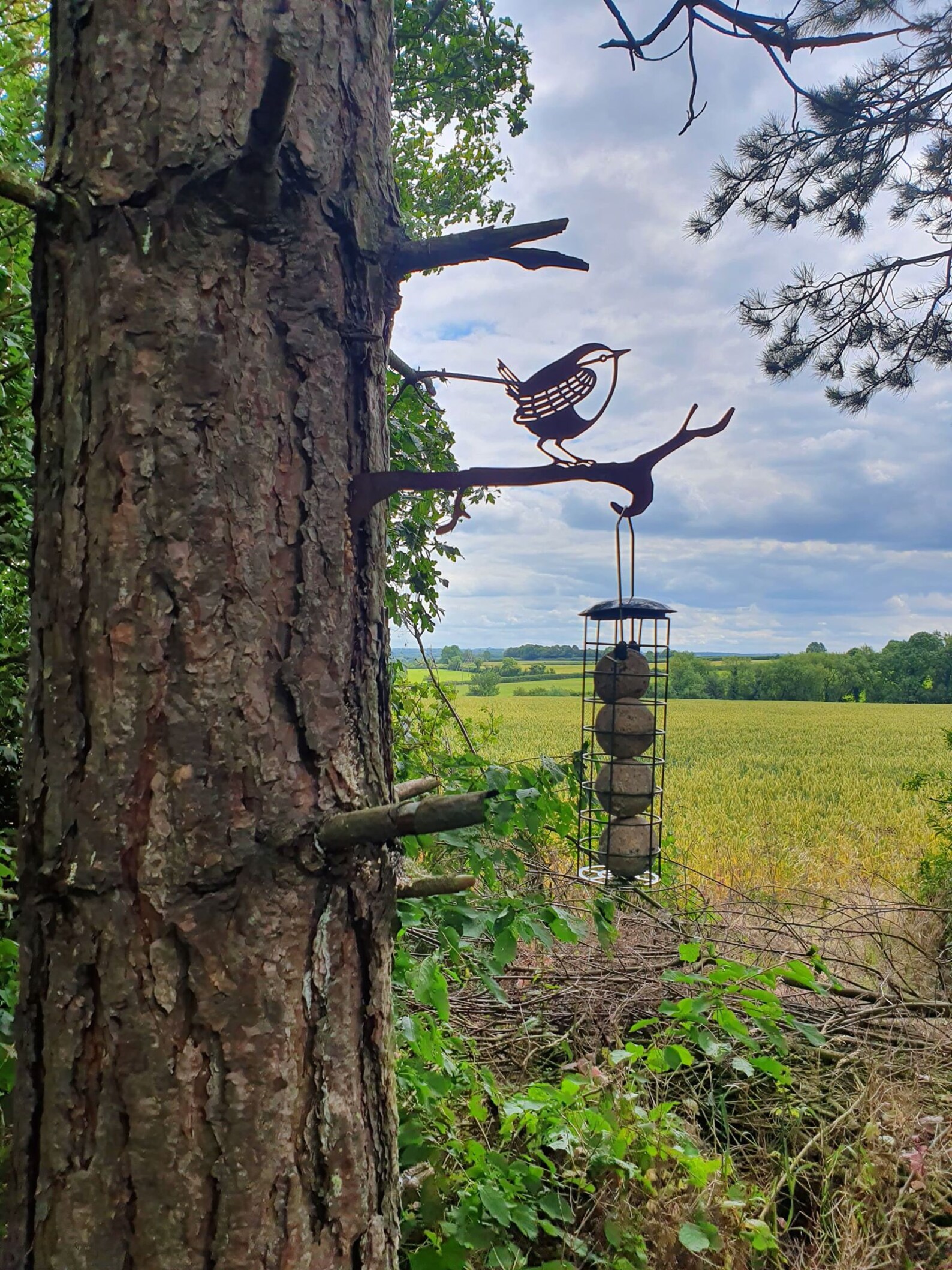 Wren Bird Feeder. Rusty Rustic Steel. Made in the UK - Etsy