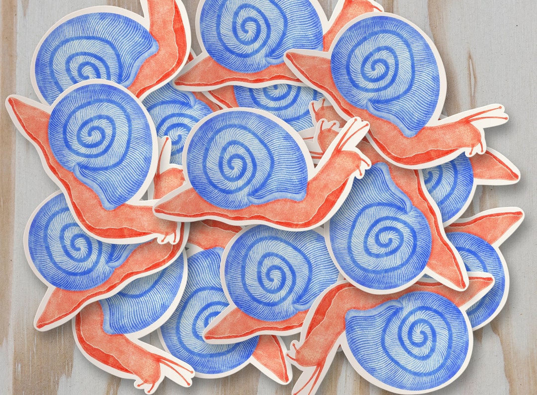 Miss Snail Vinyl Sticker - Etsy