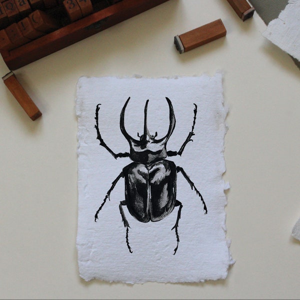 Atlas Beetle - Etsy