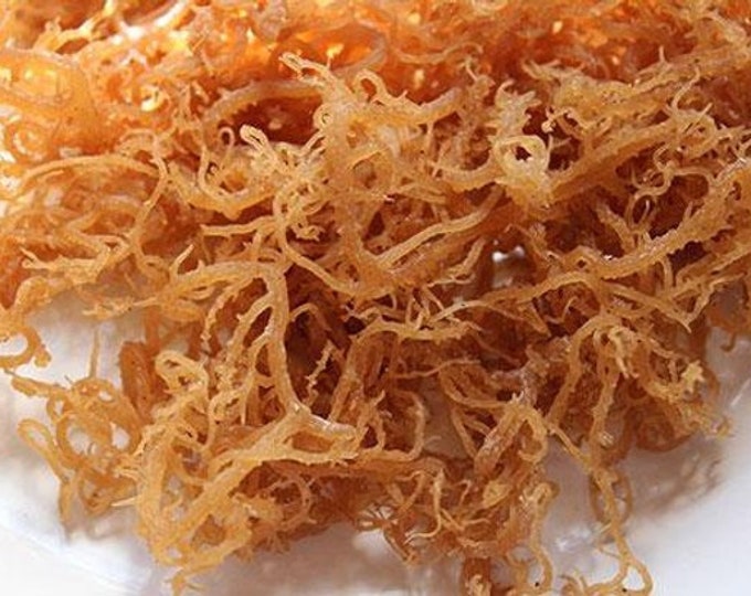Wild Crafted Sea Moss - Etsy