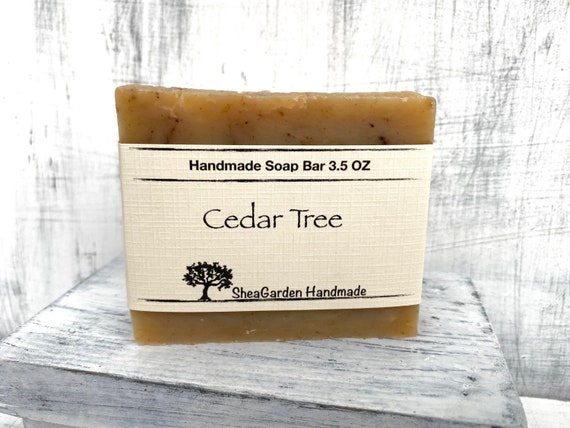 Cedar Tree Soap All Natural Handmade Soap Plastic Free | Etsy