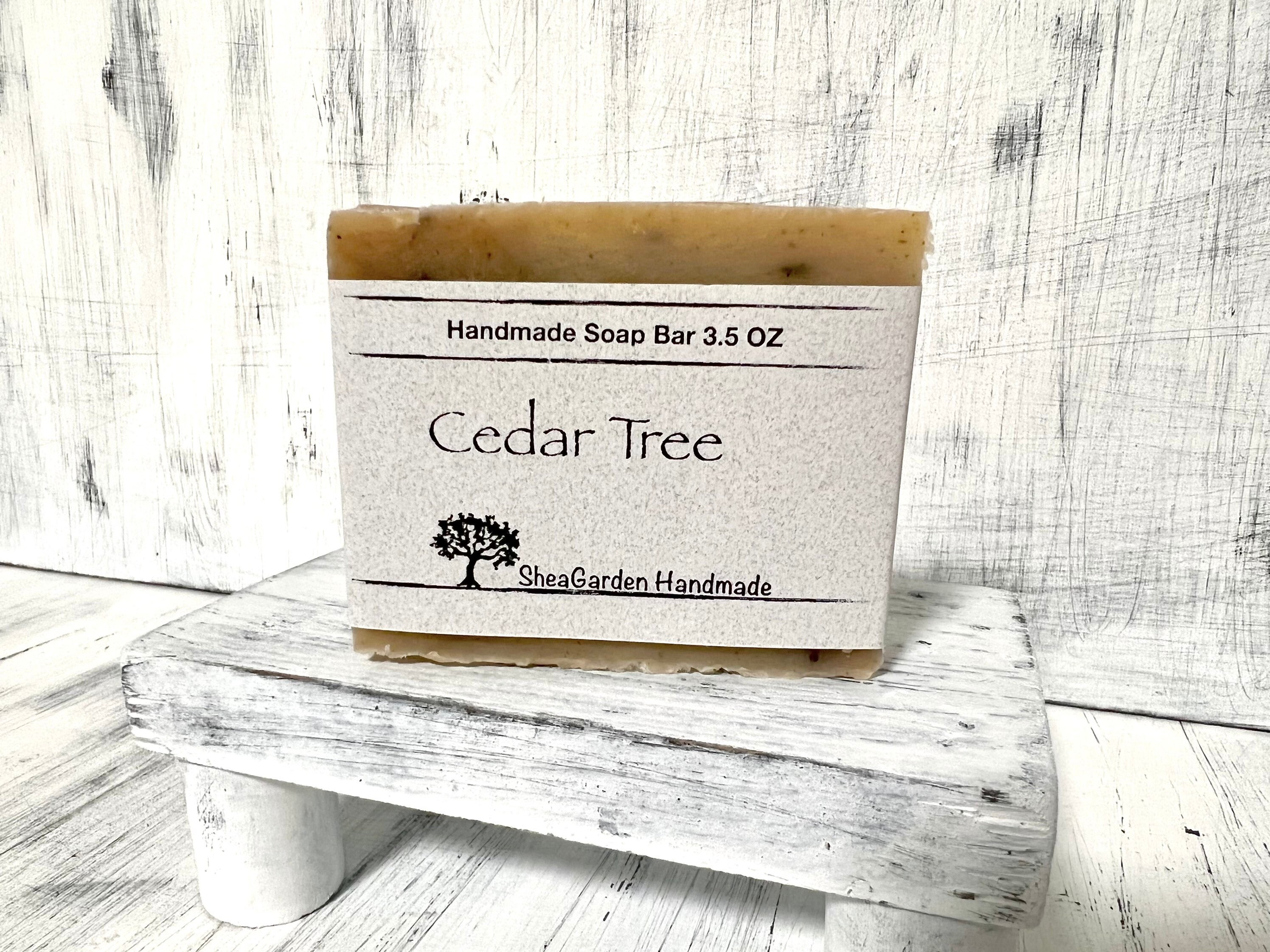 Cedar Tree Soap All Natural Handmade Soap Plastic Free - Etsy