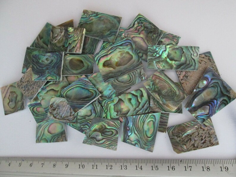 2 Ounce green Paua Abalone Shell Blanks Inlay Material. | Etsy