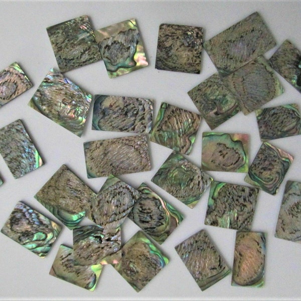 Abalone Blank - Etsy