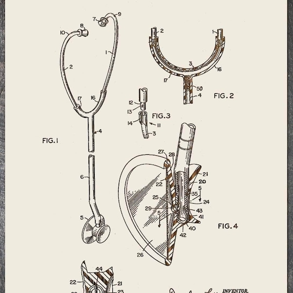 Stethoscope Diagram - Etsy