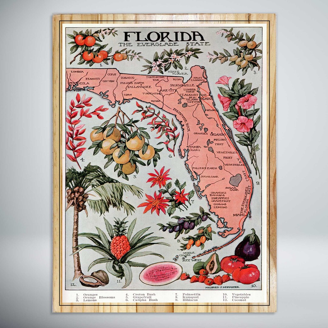 Florida Travel Poster: Vintage Map Art Print on Pine Wood - Etsy