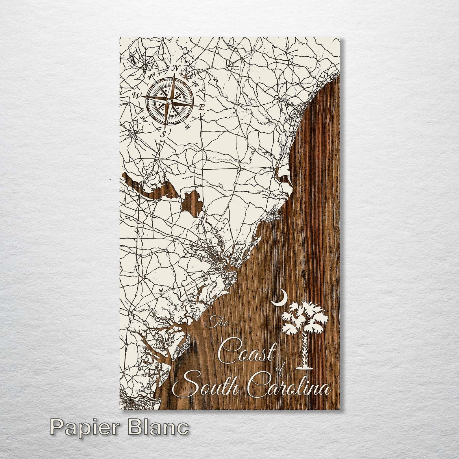 Coast of South Carolina, South Carolina Street Map | Wood Wall Decor ...