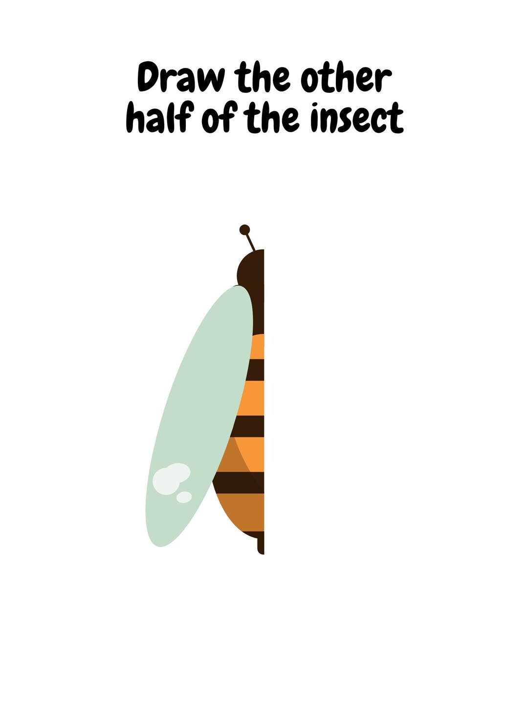 Insect Worksheet, Draw the Other Half of the Insect, 8 Page Bundle ...