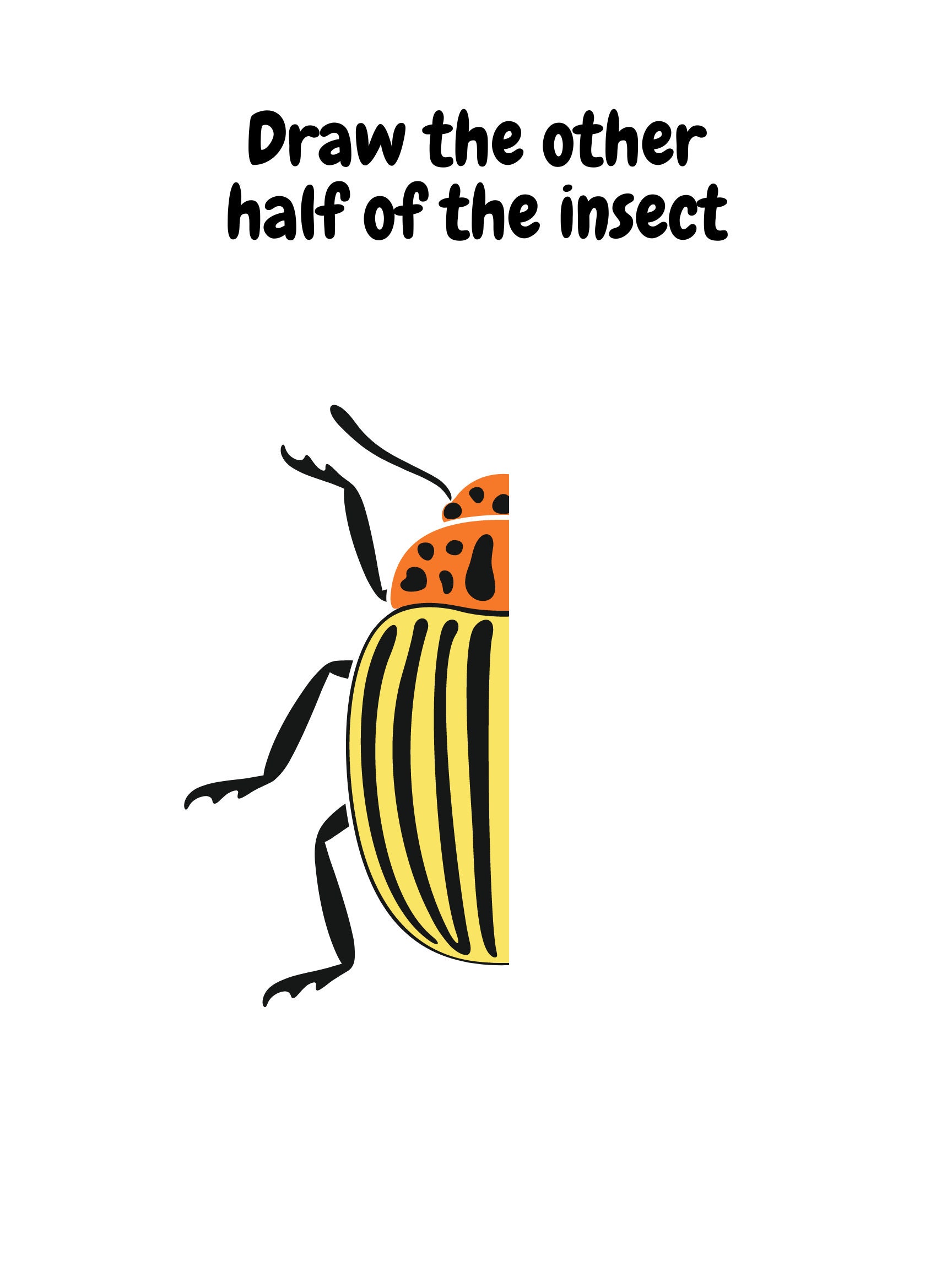 Insect Worksheet, Draw the Other Half of the Insect, 8 Page Bundle ...