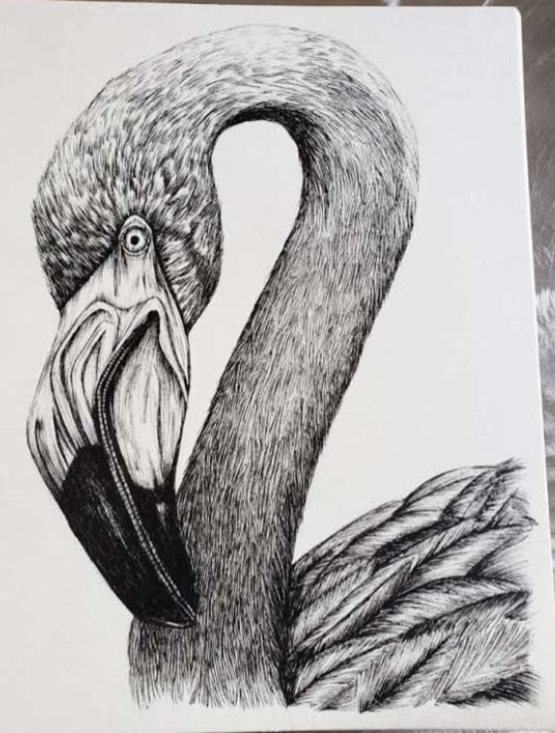 Flamingo Fine Art Giclee Print - Pen and Ink Print - Etsy