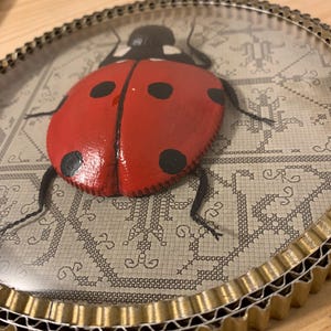 Ladybug Frame - Etsy