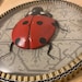 Ladybug Frame - Etsy