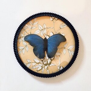 Blue Butterfly Frame - Etsy