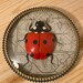 Ladybug Frame - Etsy