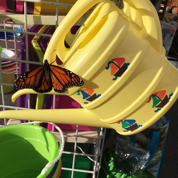 Personalized Watering Can - Etsy