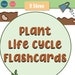Plant Life Cycle Flashcards, Preschool Printables, Nature Study, Parts ...