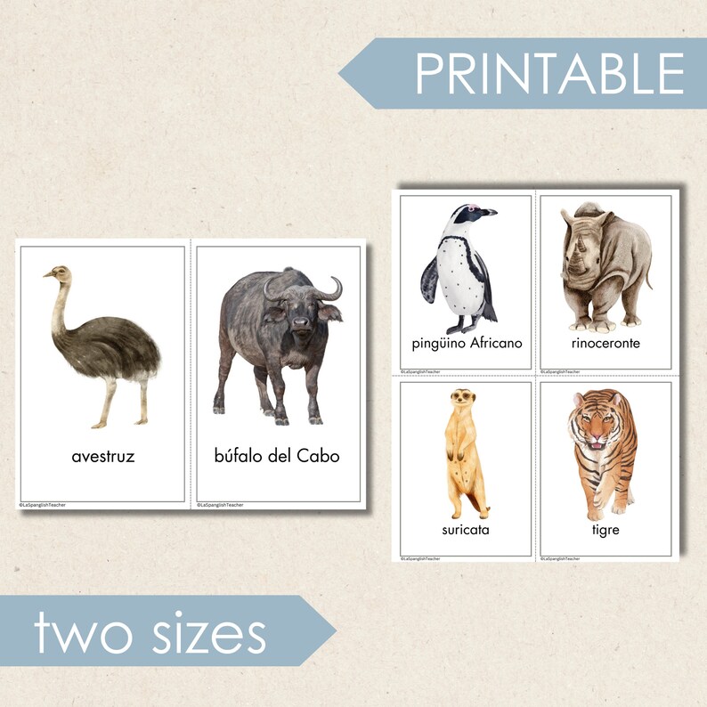 Spanish Safari Animals Flash Cards, Educational Printable Cards ...