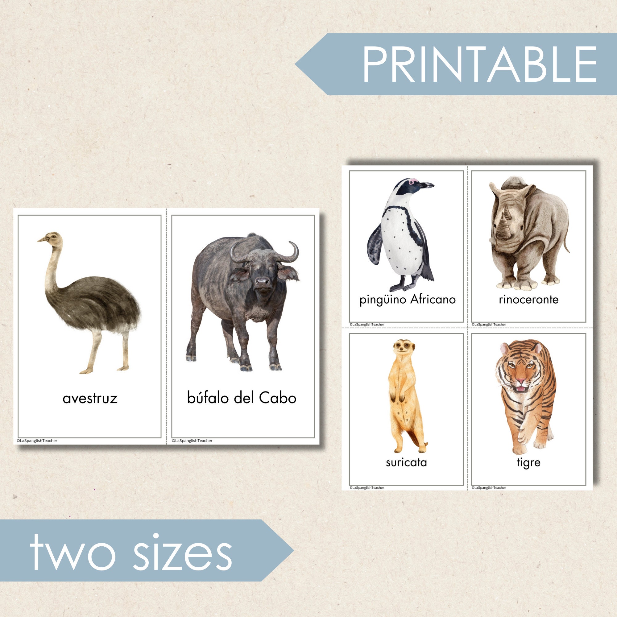 Spanish Safari Animals Flash Cards, Educational Printable Cards ...