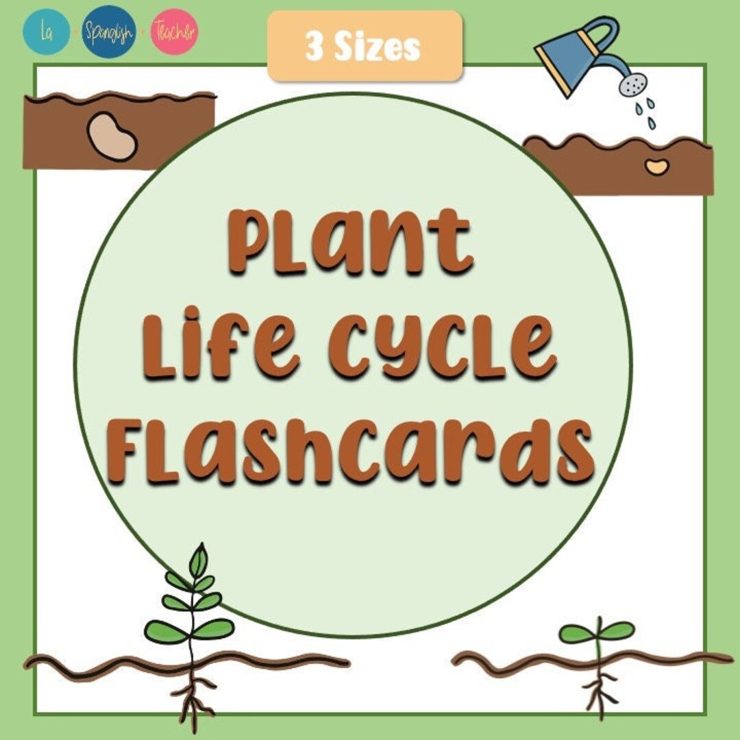 Plant Life Cycle Flashcards, Preschool Printables, Nature Study, Parts ...