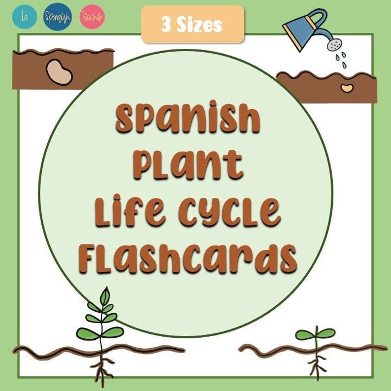 Plant Life Cycle Spanish Flashcards, Preschool Printables, Nature Study ...