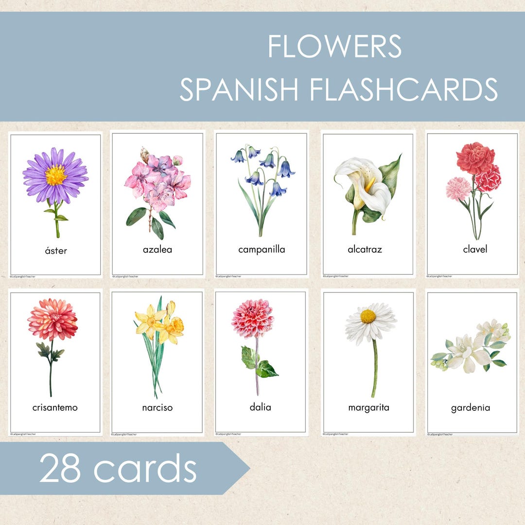Spanish Flowers Flashcards, Printable Vocabulary Cards (PDF) - Etsy
