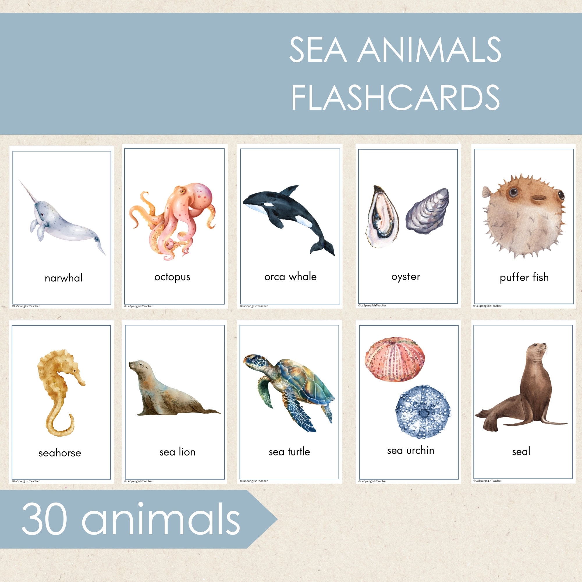 Ocean Animals Flashcards, Montessori Early Learning (PDF) - Etsy