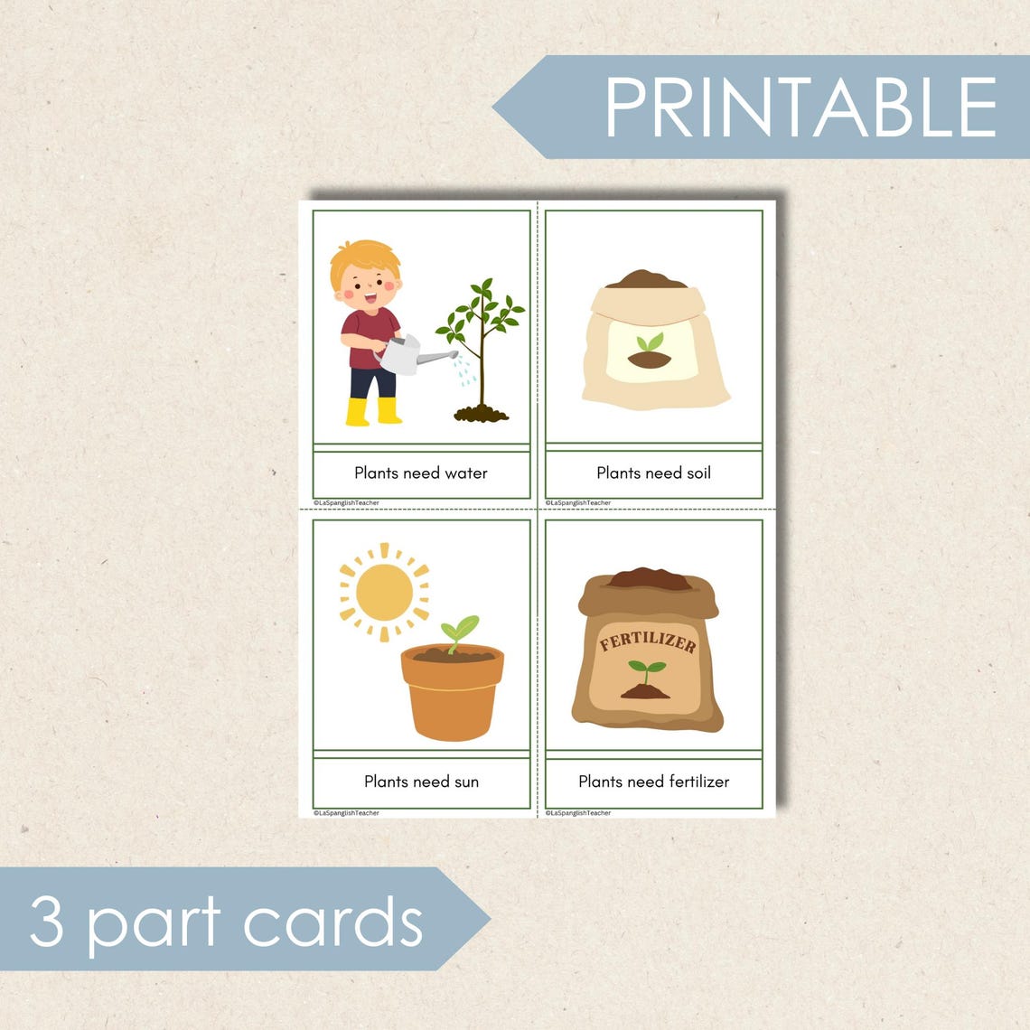 Plant Life Cycle Flashcards, Preschool Printables, Nature Study, Parts ...