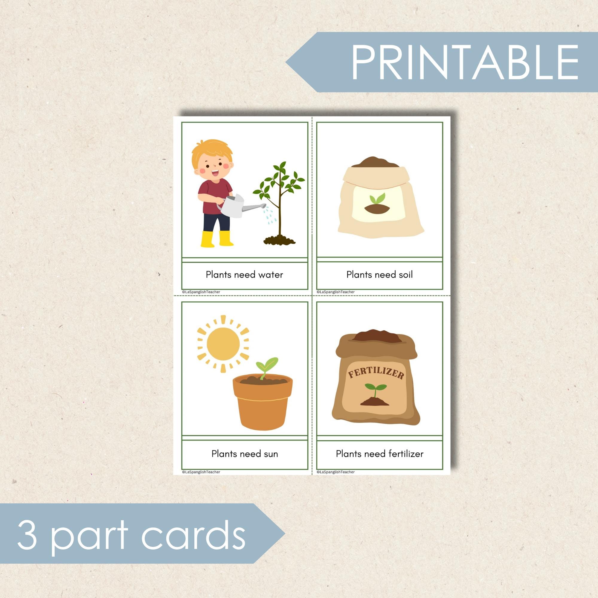 Plant Life Cycle Flashcards, Preschool Printables, Nature Study, Parts ...