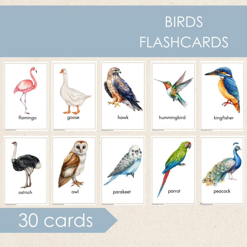 Kinds of Birds Flashcards, Educational Printable Cards, Birds ...