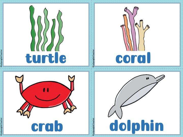 Sea Animals Printable Flashcards, Animals Vocabulary Cards, Card Games ...