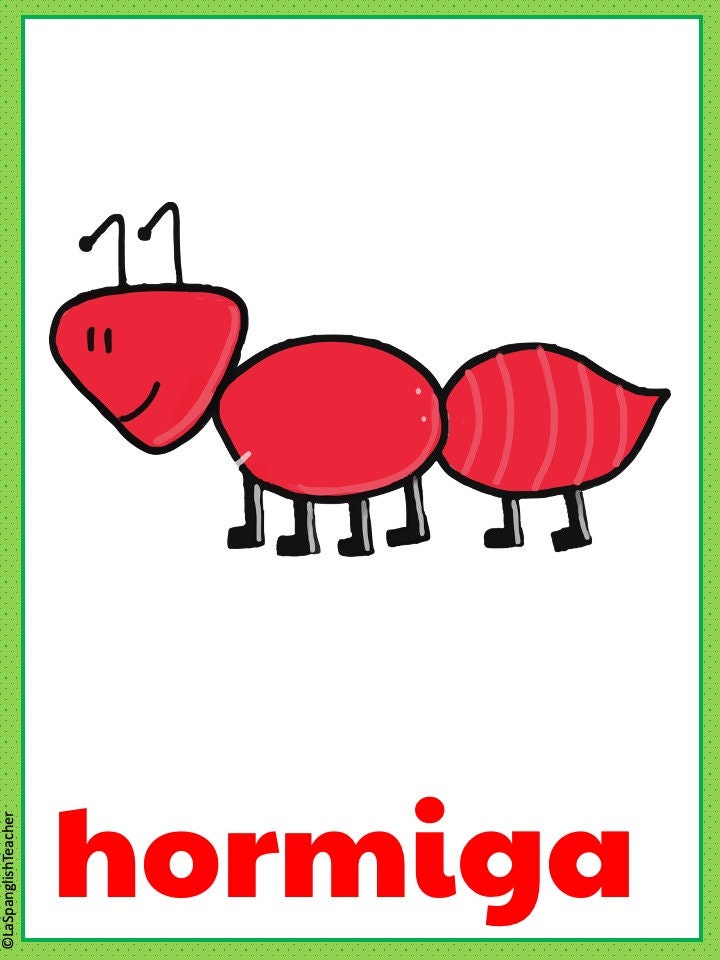 Spanish Bugs Printable Flashcards, Spanish Animal Vocabulary Cards ...