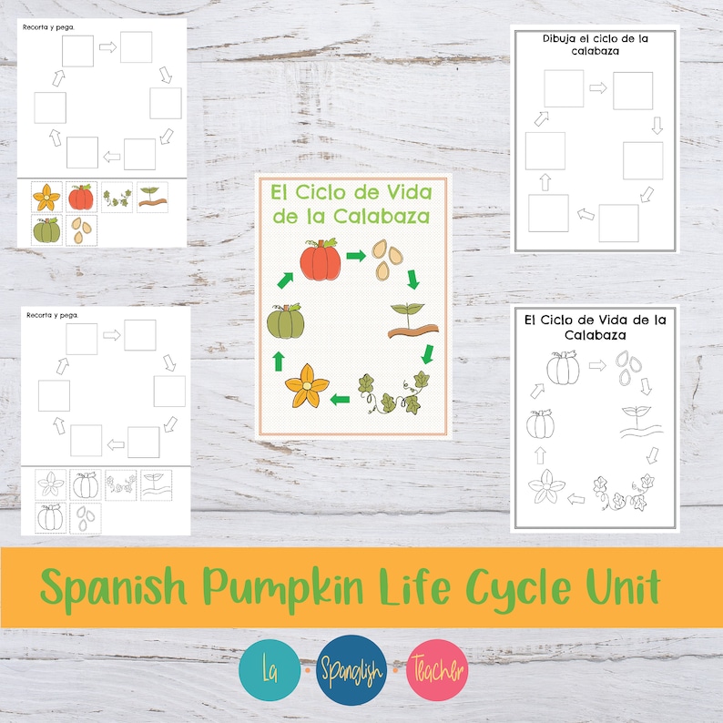 Spanish Pumpkin Unit Study, Spanish Pumpkin Life Cycle, Spanish Pumpkin ...