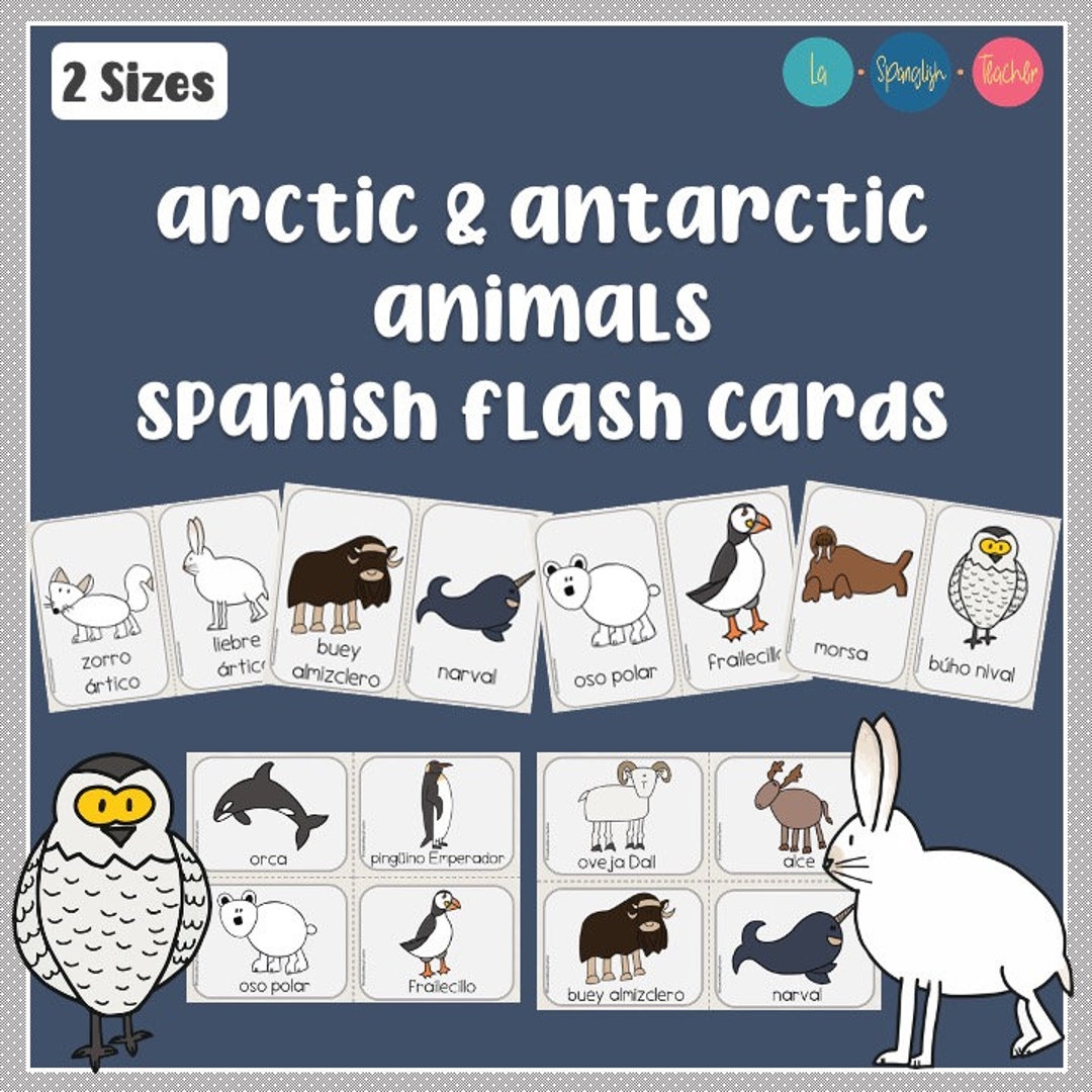 Arctic and Antarctic Animals Spanish Flashcards, Spanish Vocabulary ...