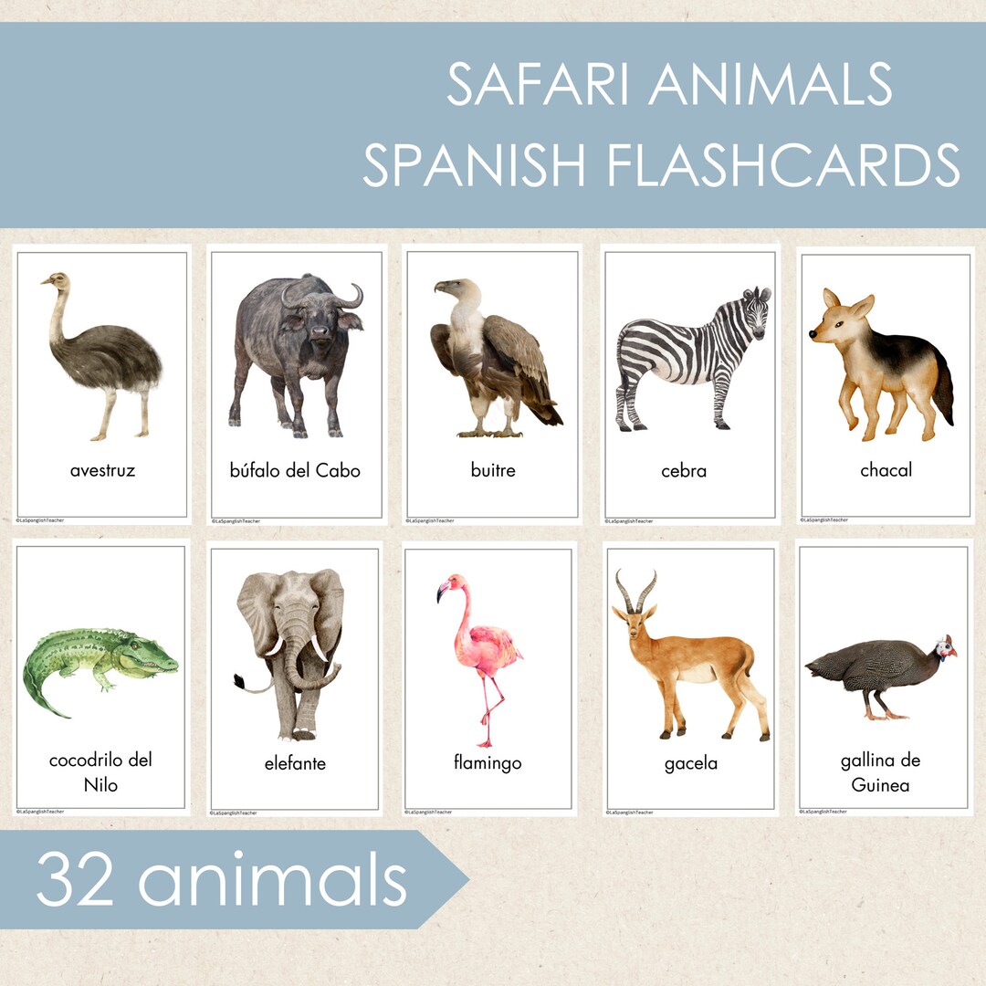 Spanish Safari Animals Flash Cards, Educational Printable Cards ...