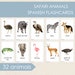 Spanish Safari Animals Flash Cards, Educational Printable Cards ...