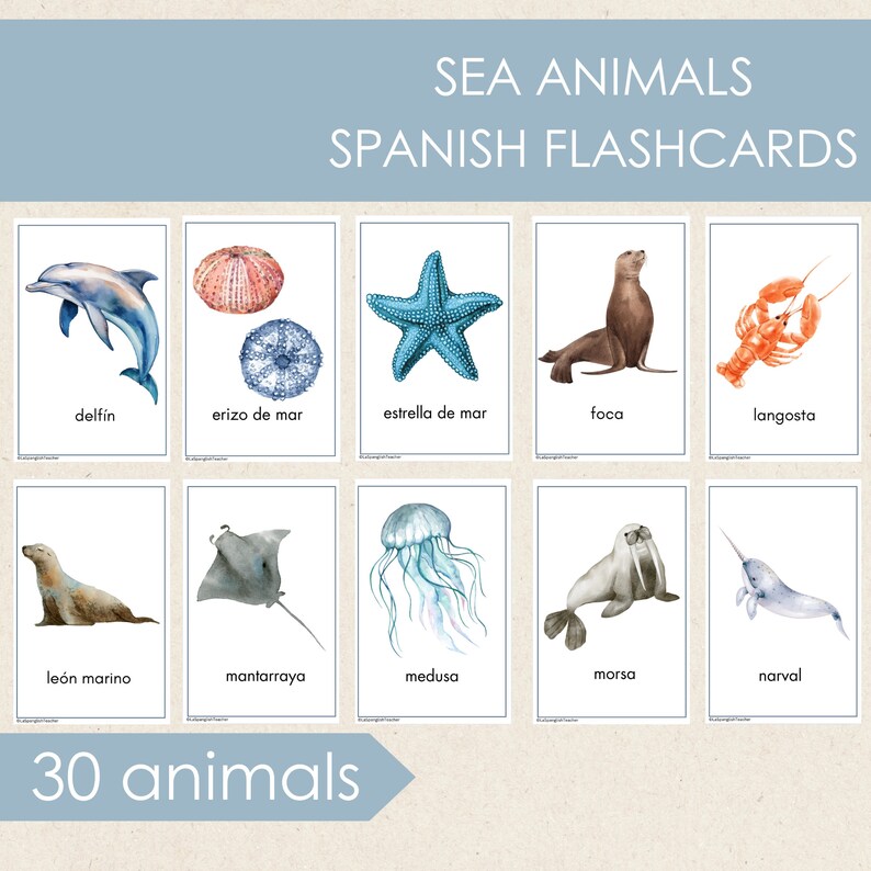 Spanish Ocean Animals Flashcards, Montessori Educational Cards (digital ...