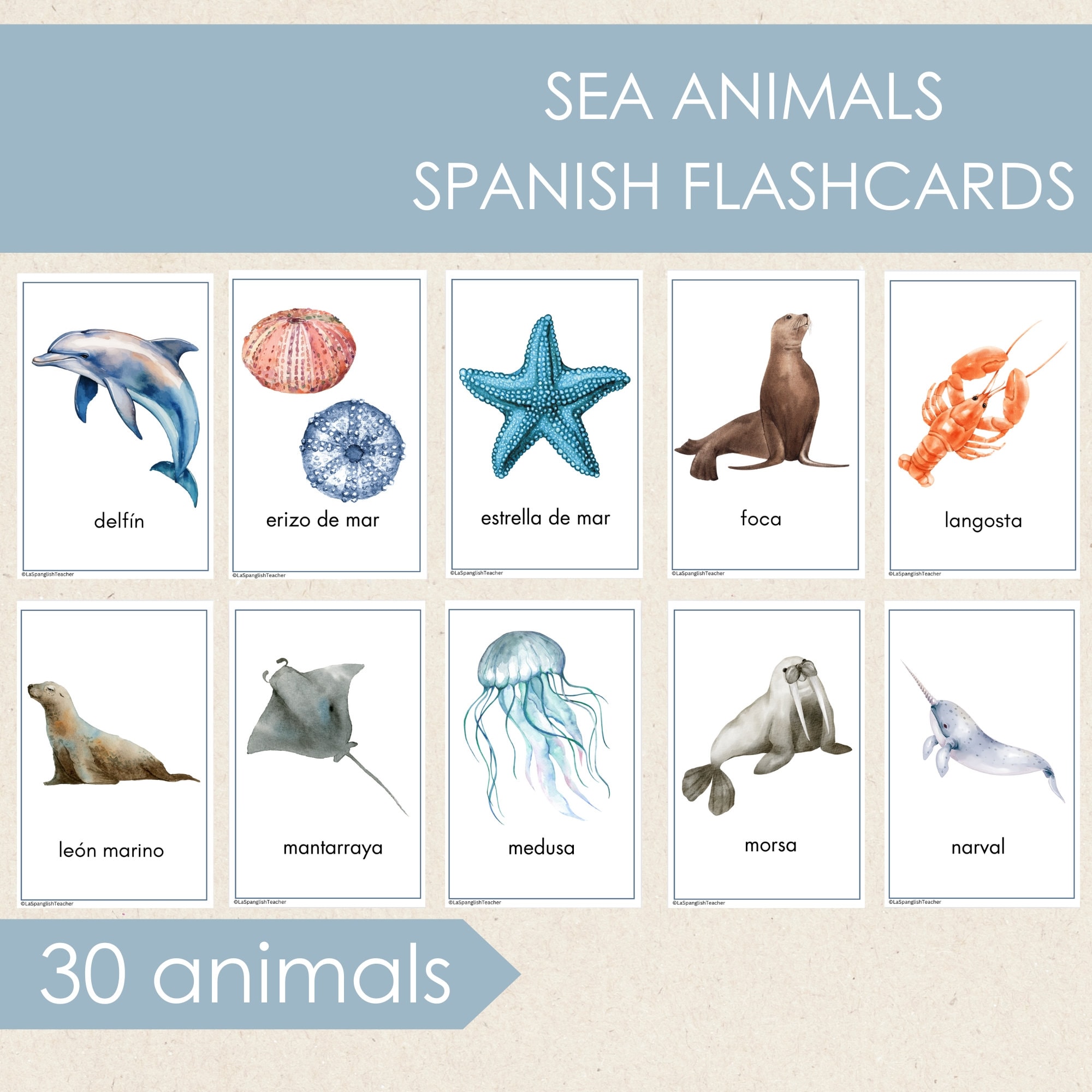 Spanish Ocean Animals Printable Flashcards, Educational Cards, Spanish ...