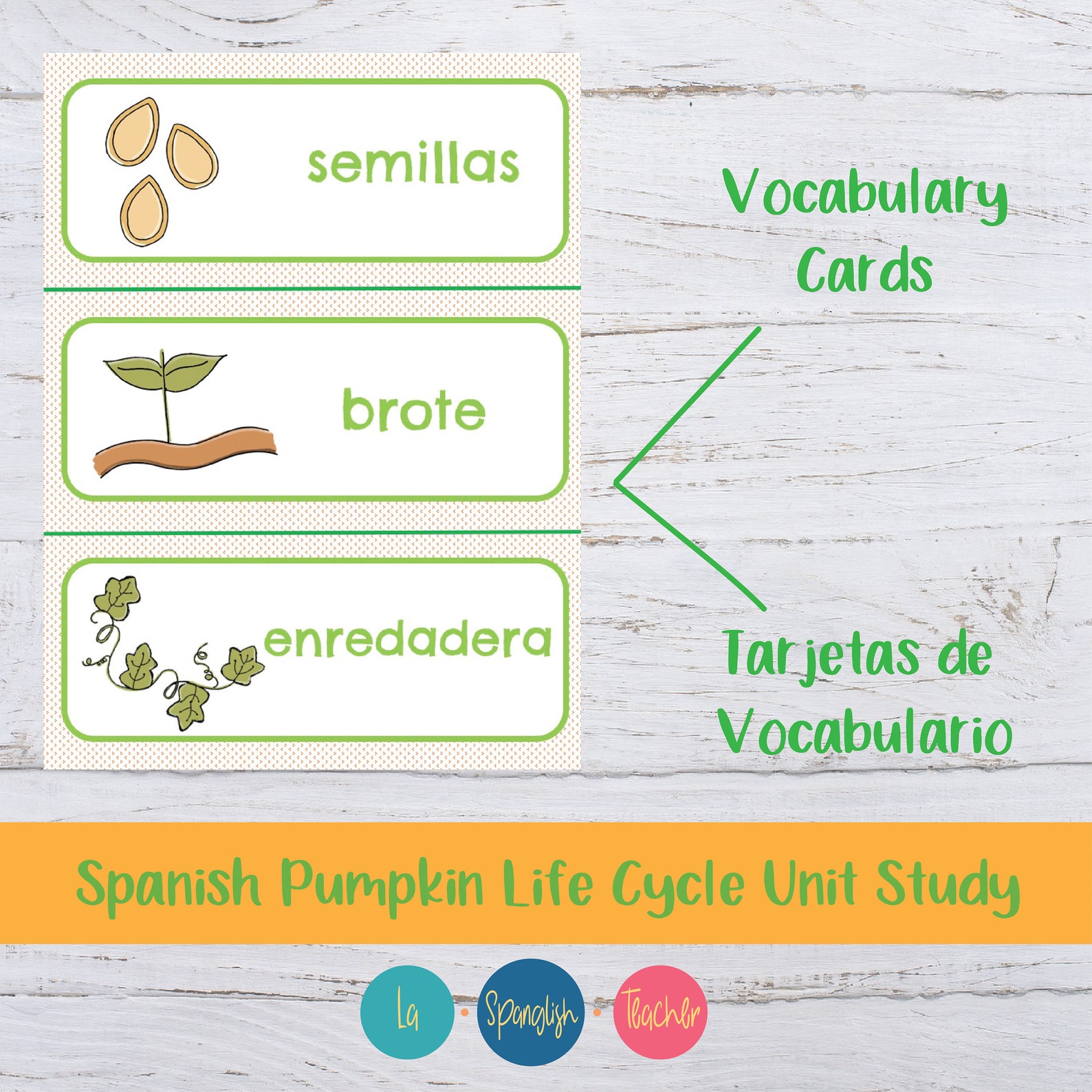Spanish Pumpkin Unit Study, Spanish Pumpkin Life Cycle, Spanish Pumpkin ...