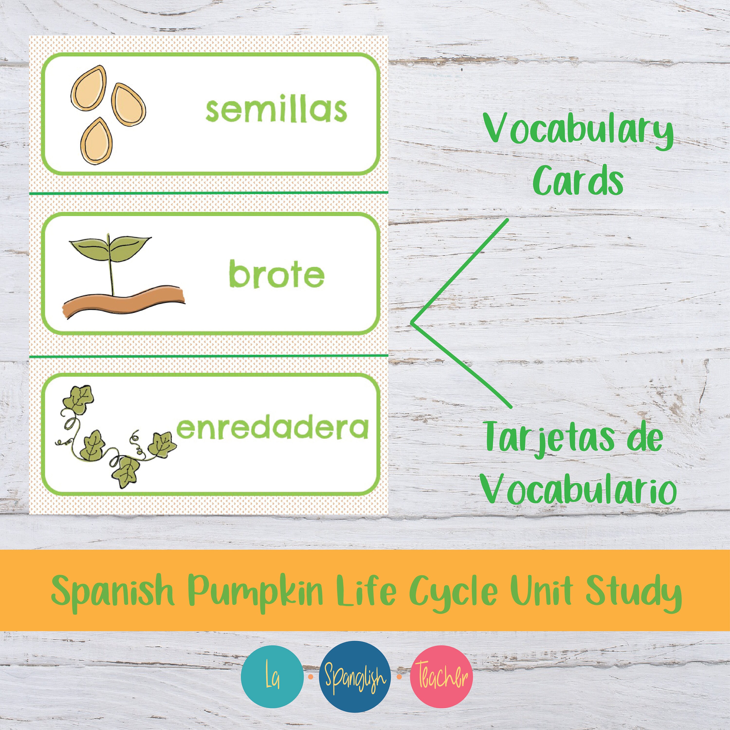 Spanish Pumpkin Unit Study, Spanish Pumpkin Life Cycle, Spanish Pumpkin ...