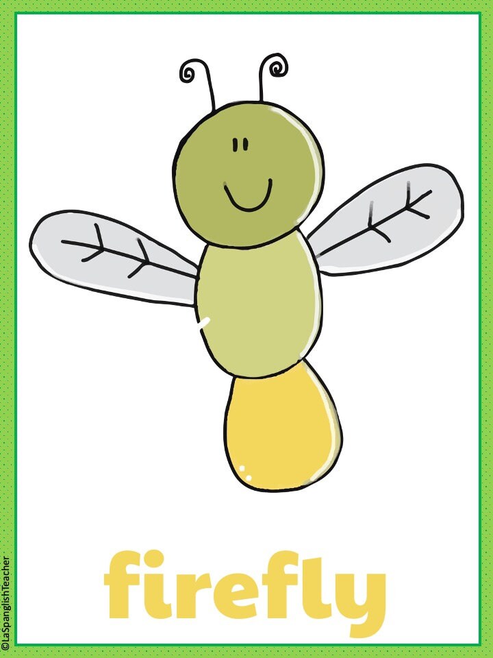 Bugs Printable Flashcards, Animal Vocabulary Cards, Card Games for Kids ...