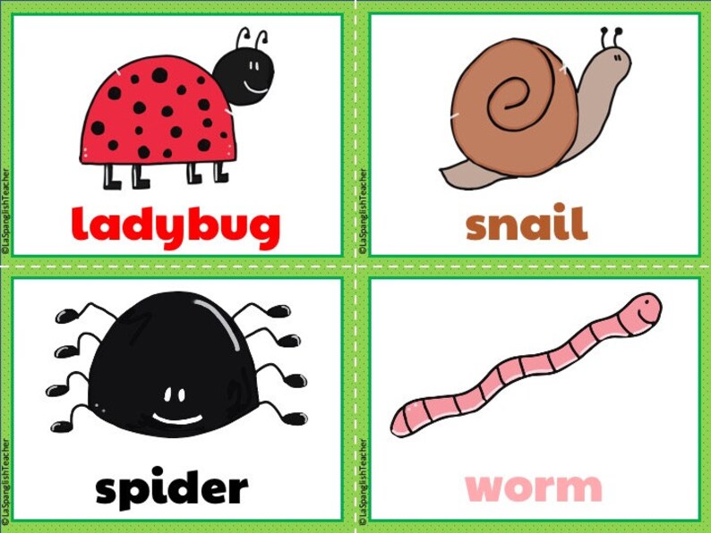 Bugs Printable Flashcards, Animal Vocabulary Cards, Card Games for Kids ...