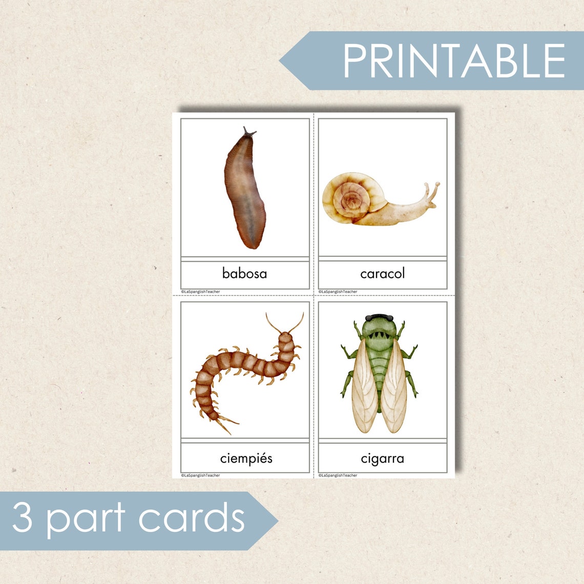 Spanish Insects Flash Cards, Spanish Animals Printable Cards ...
