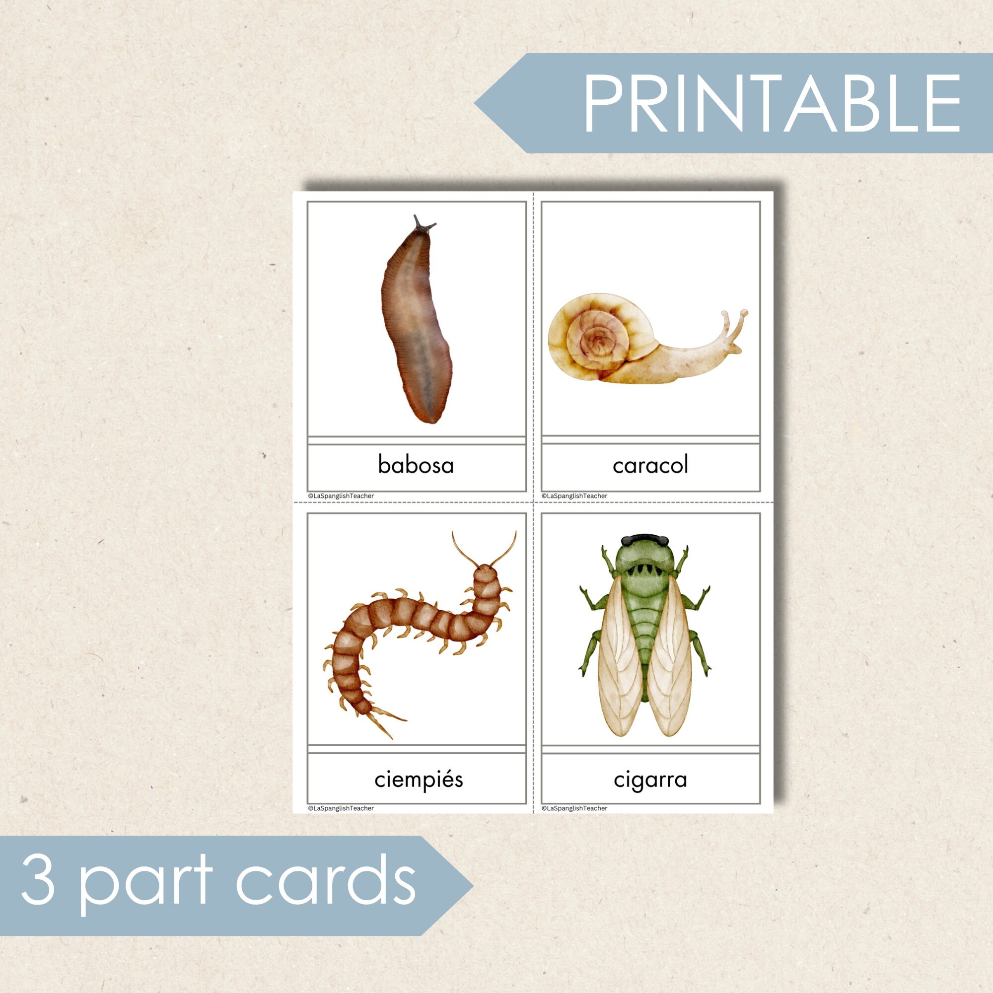 Spanish Insects Flash Cards, Spanish Animals Printable Cards ...