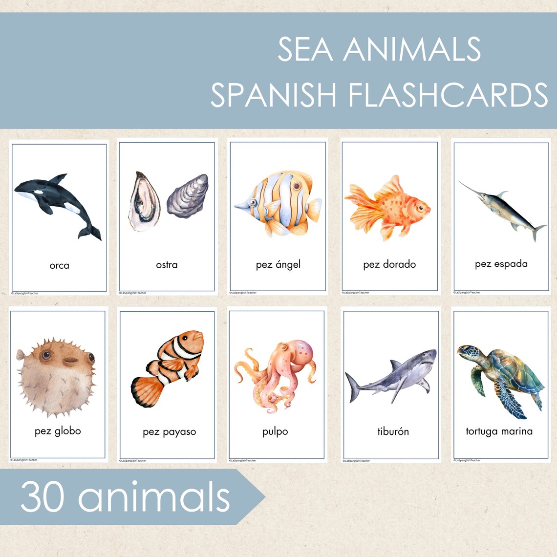 Spanish Ocean Animals Flashcards, Montessori Educational Cards (digital ...